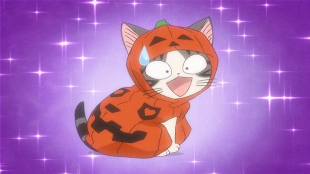 The 15 Best Short-Episode Anime