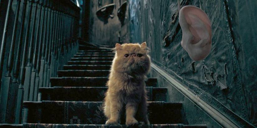 Harry Potter's Hagrid Loves All Animals But This One