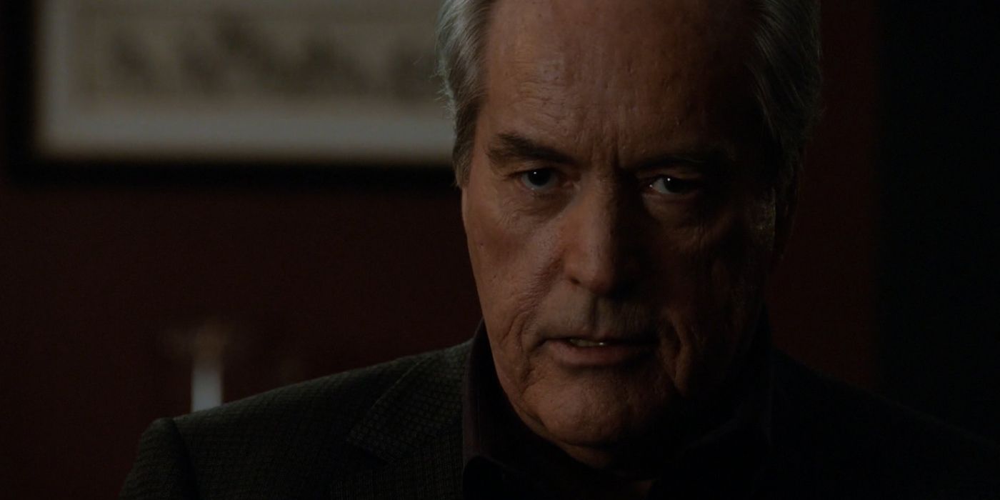 10 MCU Characters Who Appeared in Agents of SHIELD