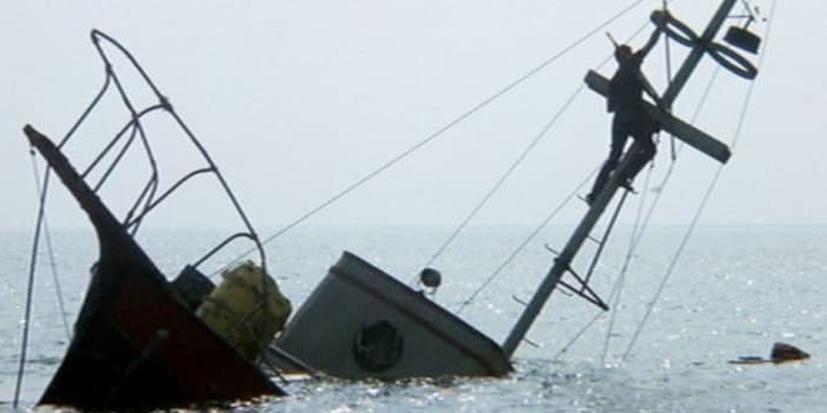 Jaws: The 6 Wildest Stories From the Infamous Production