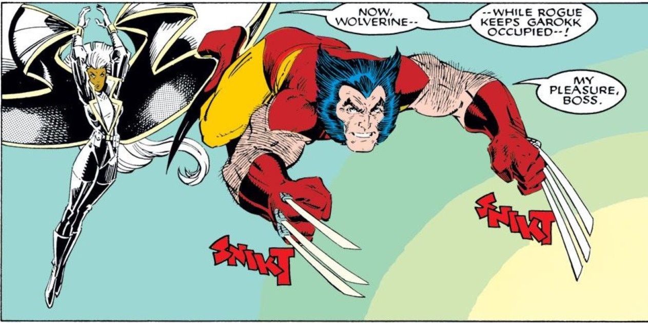 Wolverine Vs Spider-Man: Who Would Win This Fight?