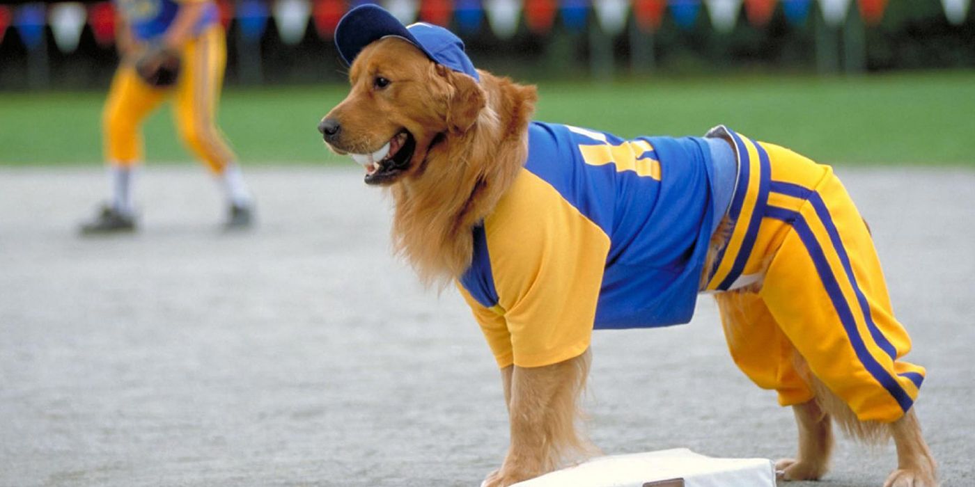 10 Best Movie Dogs
