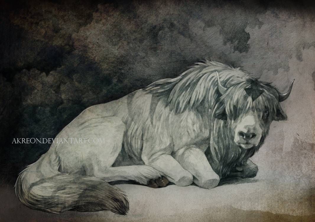 Avatar: The Last Airbender – 10 Appa Fan Art Pictures That Are Too Good