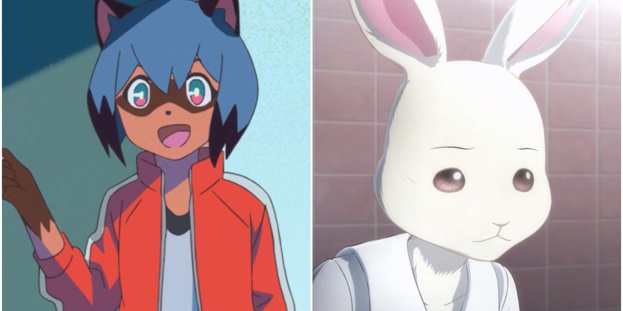 BNA & Beastars: 5 Ways They’re Similar (& 5 Ways They’re Totally Different)