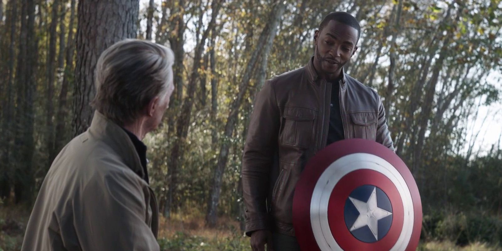 Falcon and Winter Soldier Reveals Bucky's Role in Steve Rogers' Going ...
