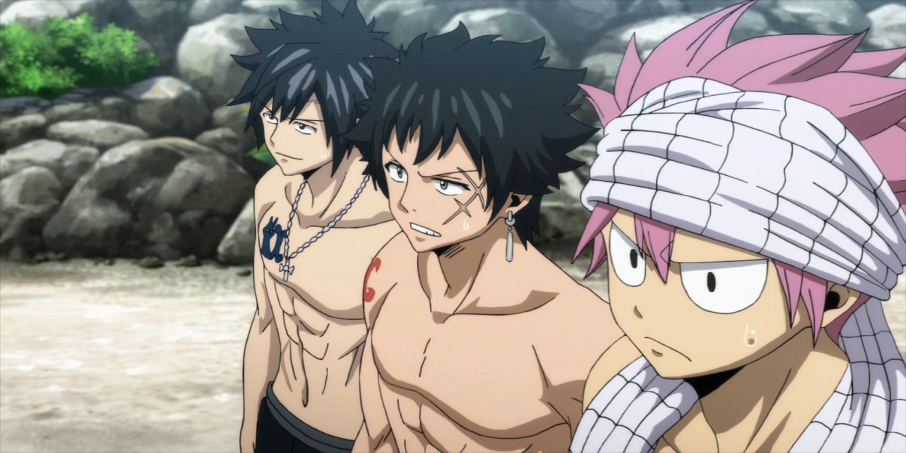 Fairy Tail: 10 Things Only True Fans Know About Mest