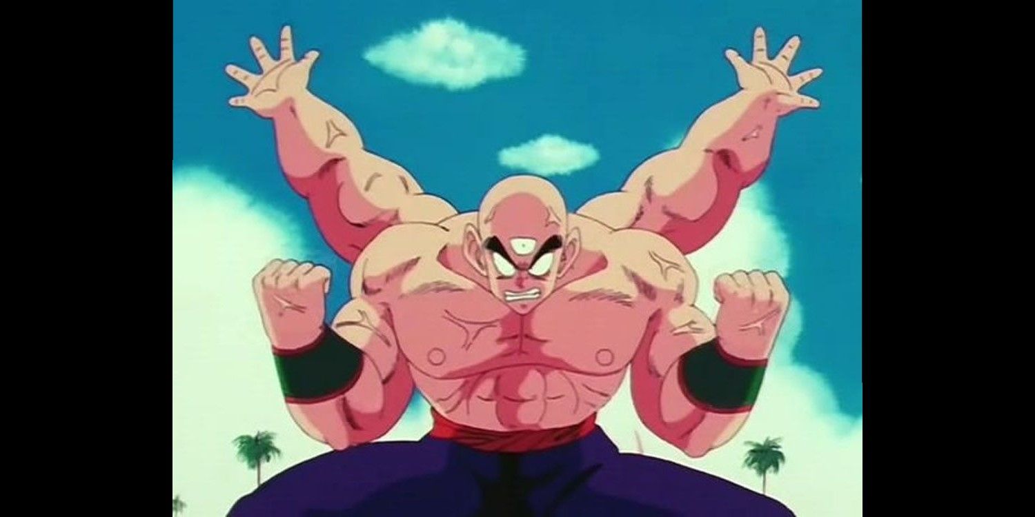 Dragon Ball: The World Martial Arts Tournaments Records Of The Main ...