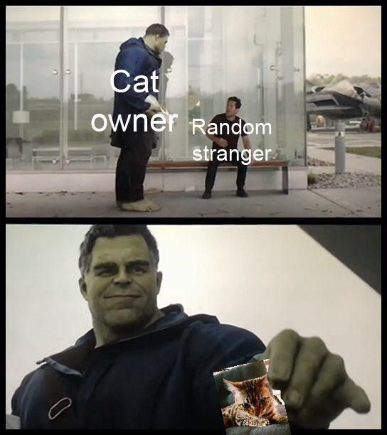 10 Most Hilarious Professor Hulk Taco Memes