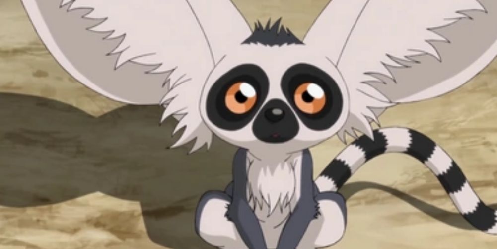 Avatar: The Last Airbender & The Legend Of Korra: Ranking Every Animal ...