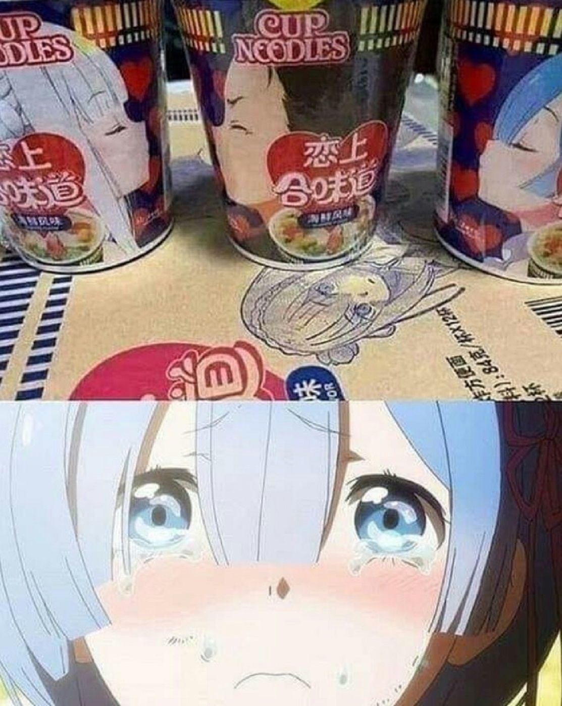 Re: Zero: 10 Hilarious Memes That Prove Rem Is Best Girl