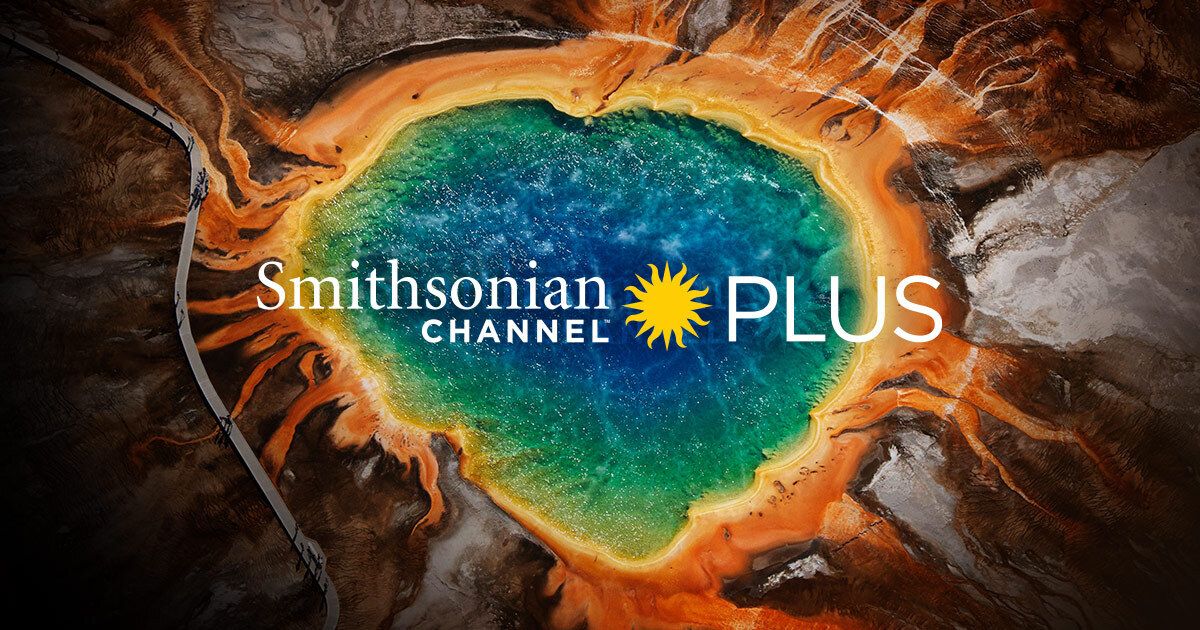 The 7 Best Niche Streaming Services