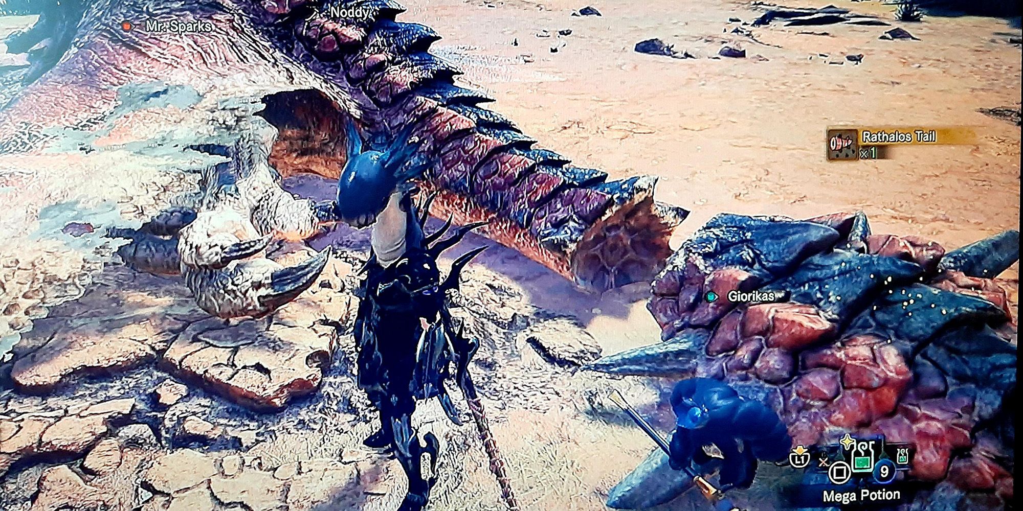 Monster Hunter Anatomy: 5 Weird Facts About Rathalos Bodies