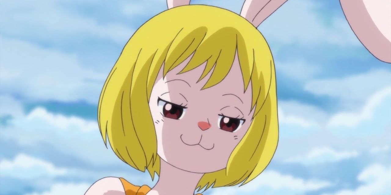 One Piece: 10 Most Adorable Carrot Moments, Ranked