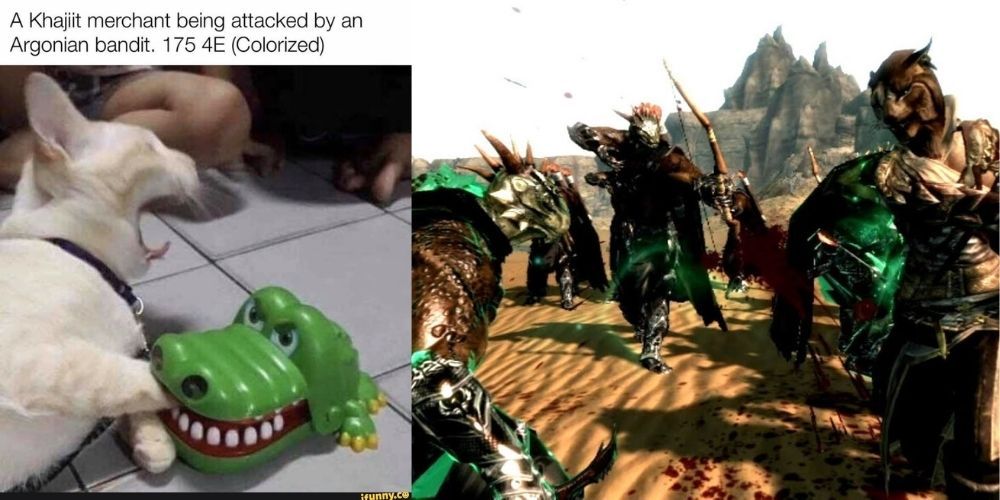 Skyrim: 10 Khajiit Versus Argonian Memes That Are Too Hilarious