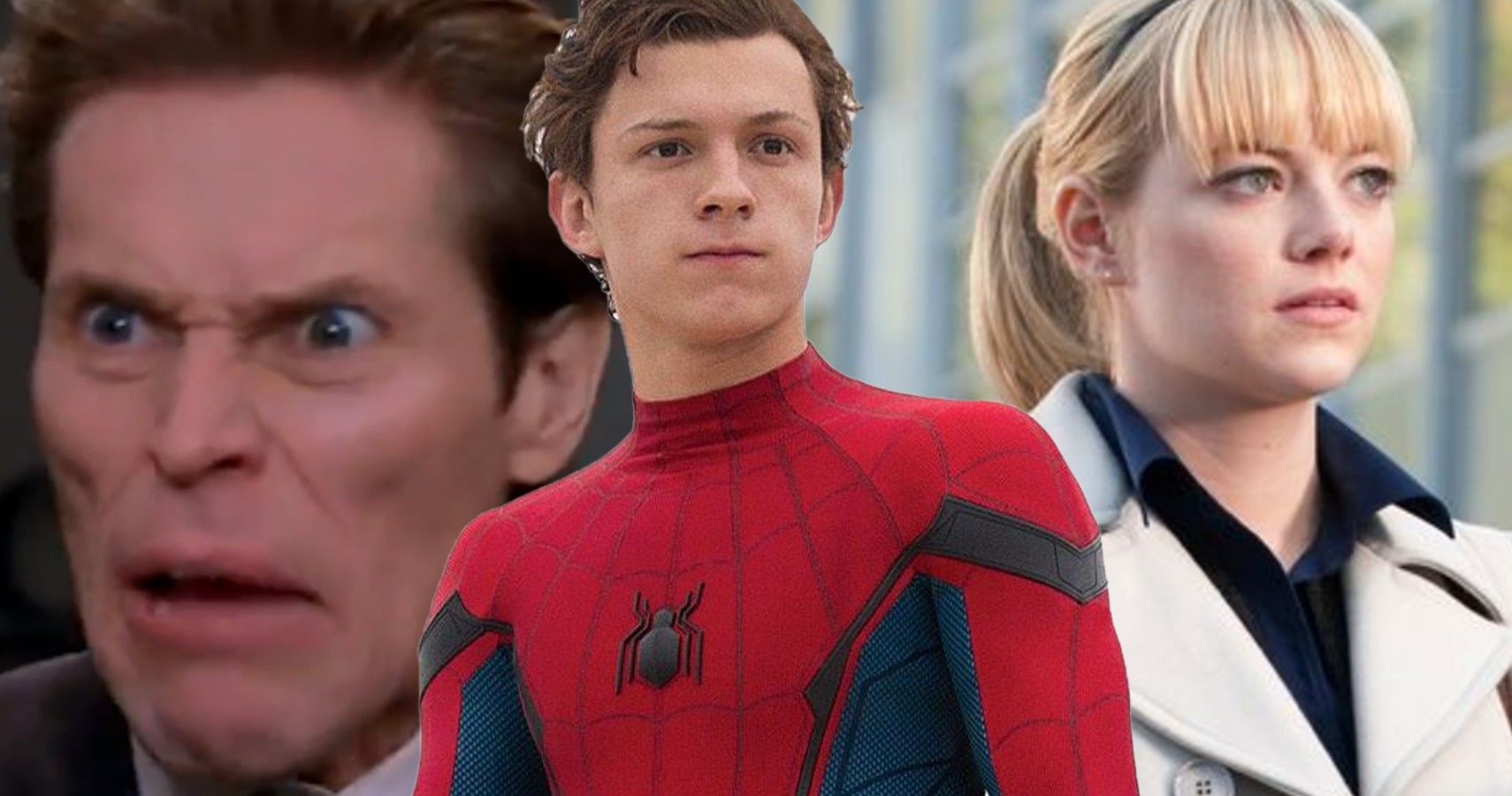 5 Pre-MCU Spider-Man Characters Who Need To Join Spider-Man 3 (& 5 Who ...