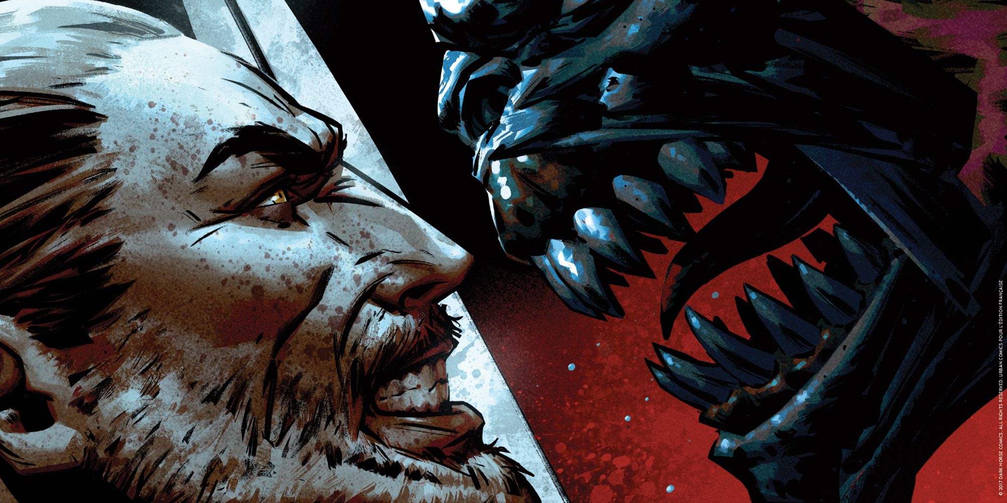 Every Witcher Book, In Order Of Release