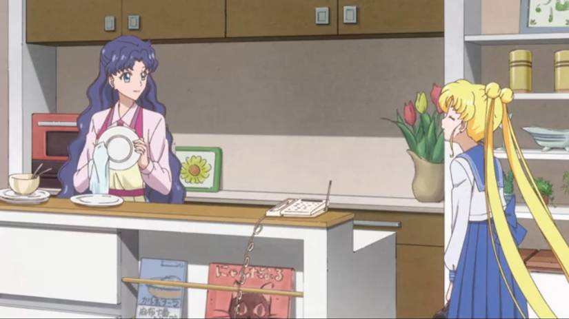 Sailor Moon: Whatever Happened to Usagi's Family?