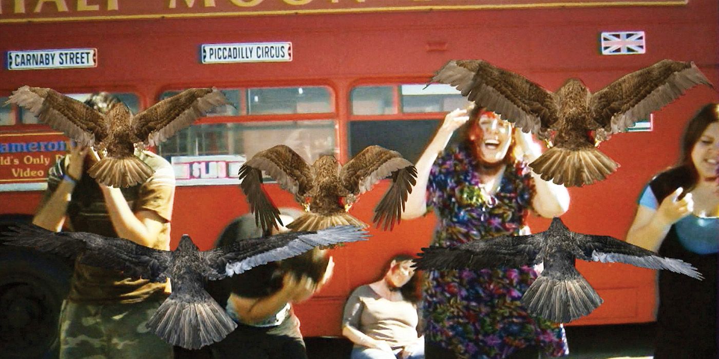 Birdemic Makes The Crows Have Eyes 3 Look Like a Hitchcock Masterpiece