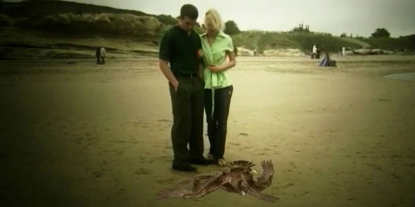 Birdemic Makes The Crows Have Eyes 3 Look Like a Hitchcock Masterpiece