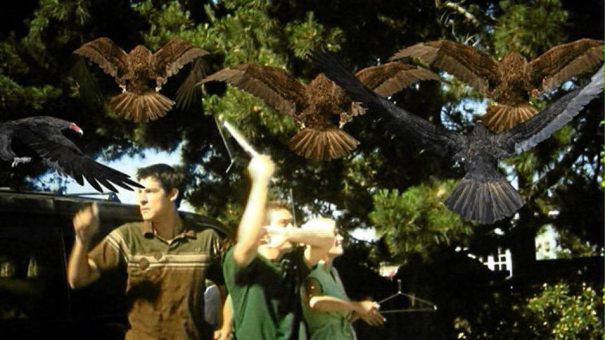 Birdemic Makes The Crows Have Eyes 3 Look Like a Hitchcock Masterpiece