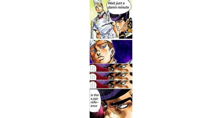 I turned Fiora into Polnareff from JJBA with this custom skin! (Iggy ...