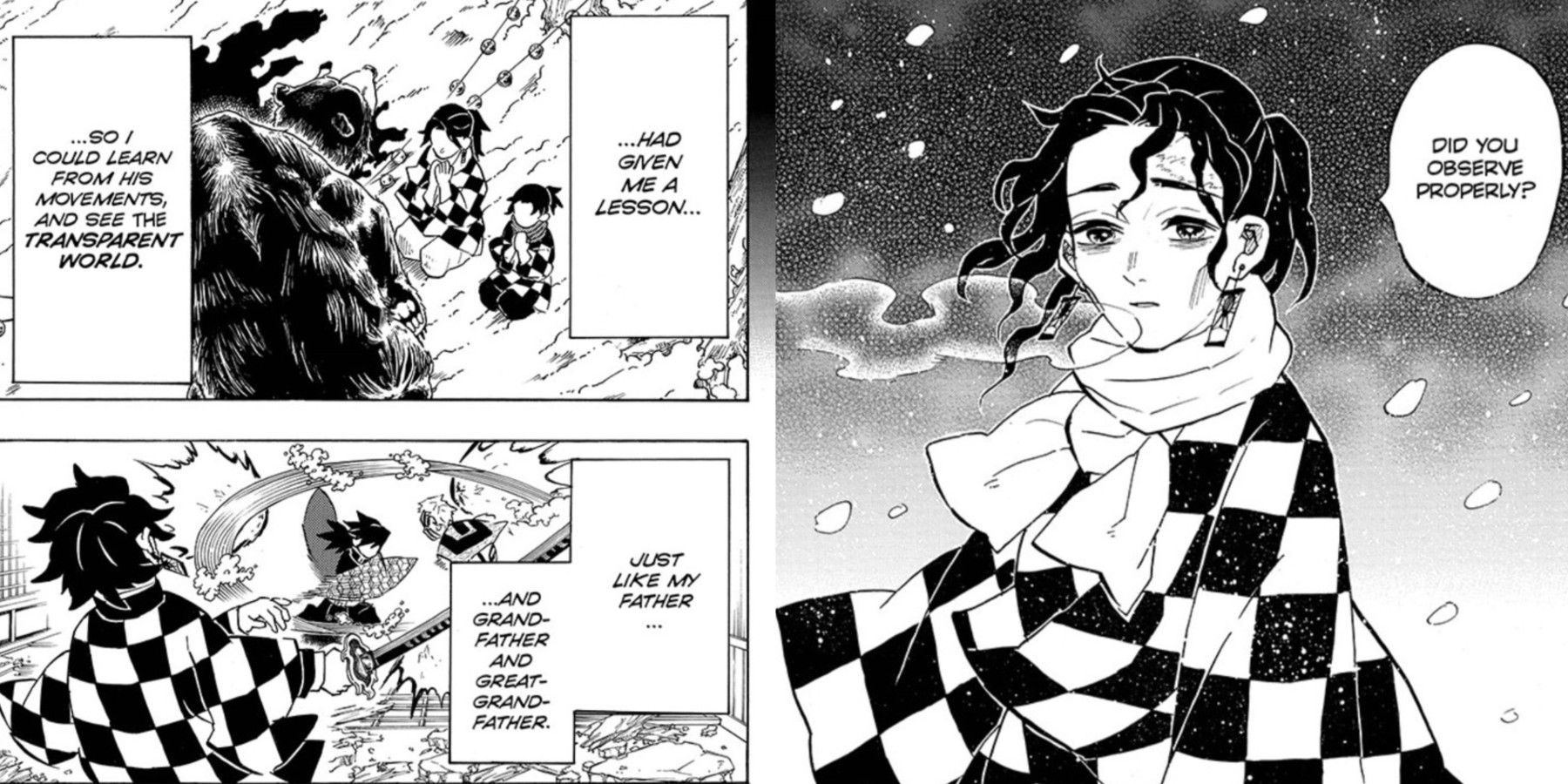 Demon Slayer: Kimetsu no Yaiba - Tanjiro’s Transparent World, Explained