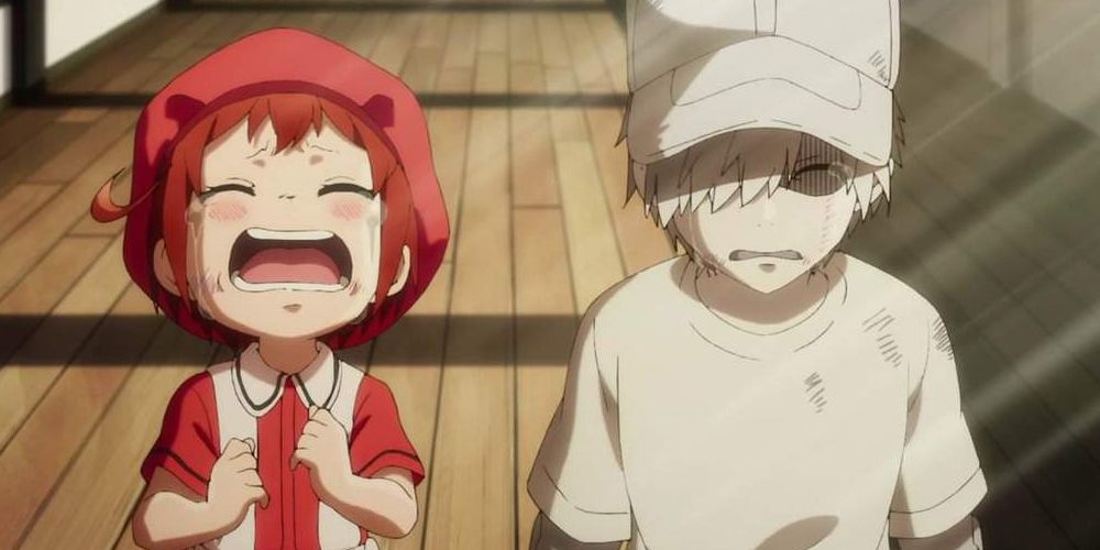 Cells At Work!: The 10 Best Episodes (According To IMDb)