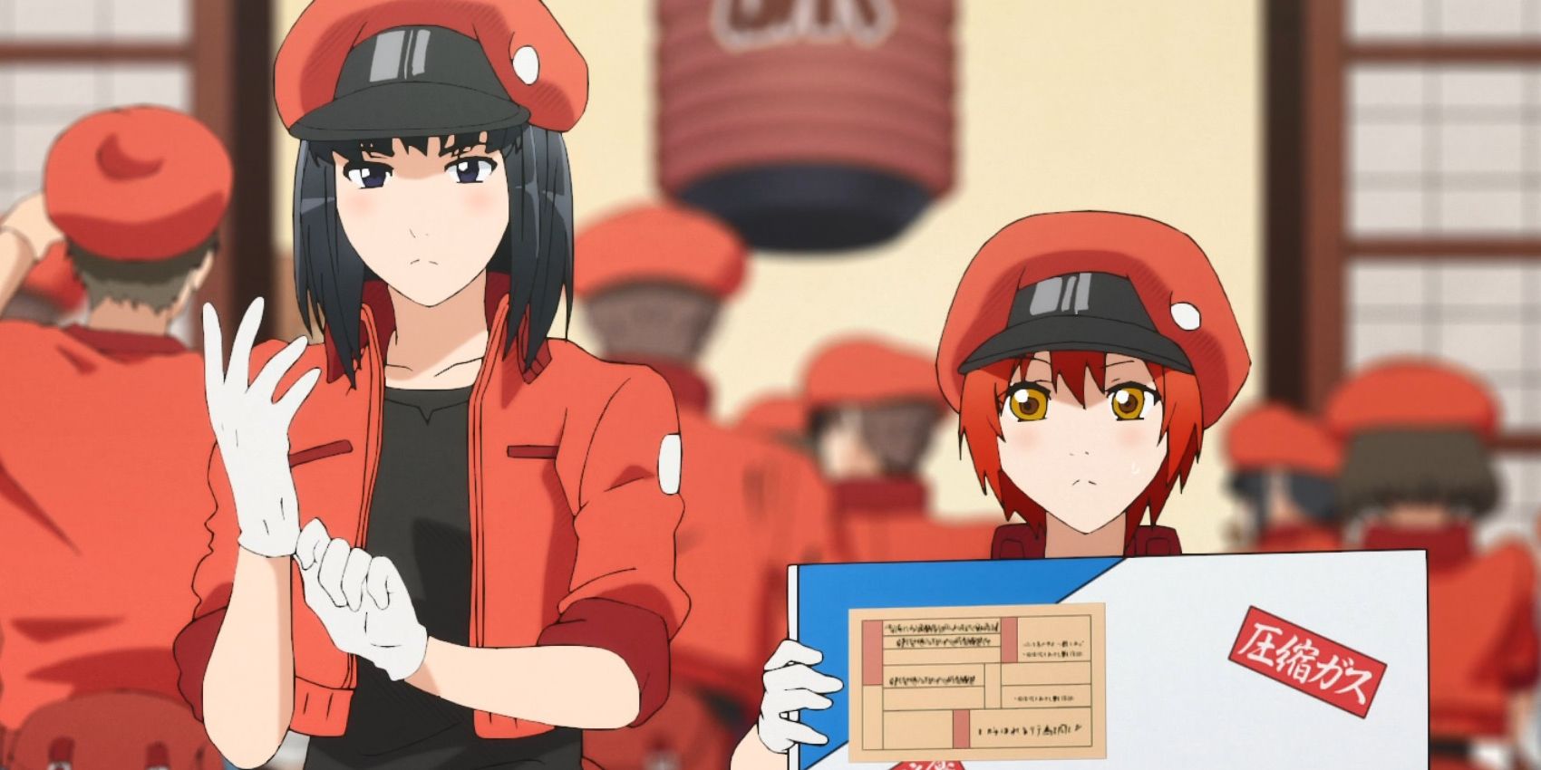 Cells At Work!: The 10 Best Episodes (According To IMDb)