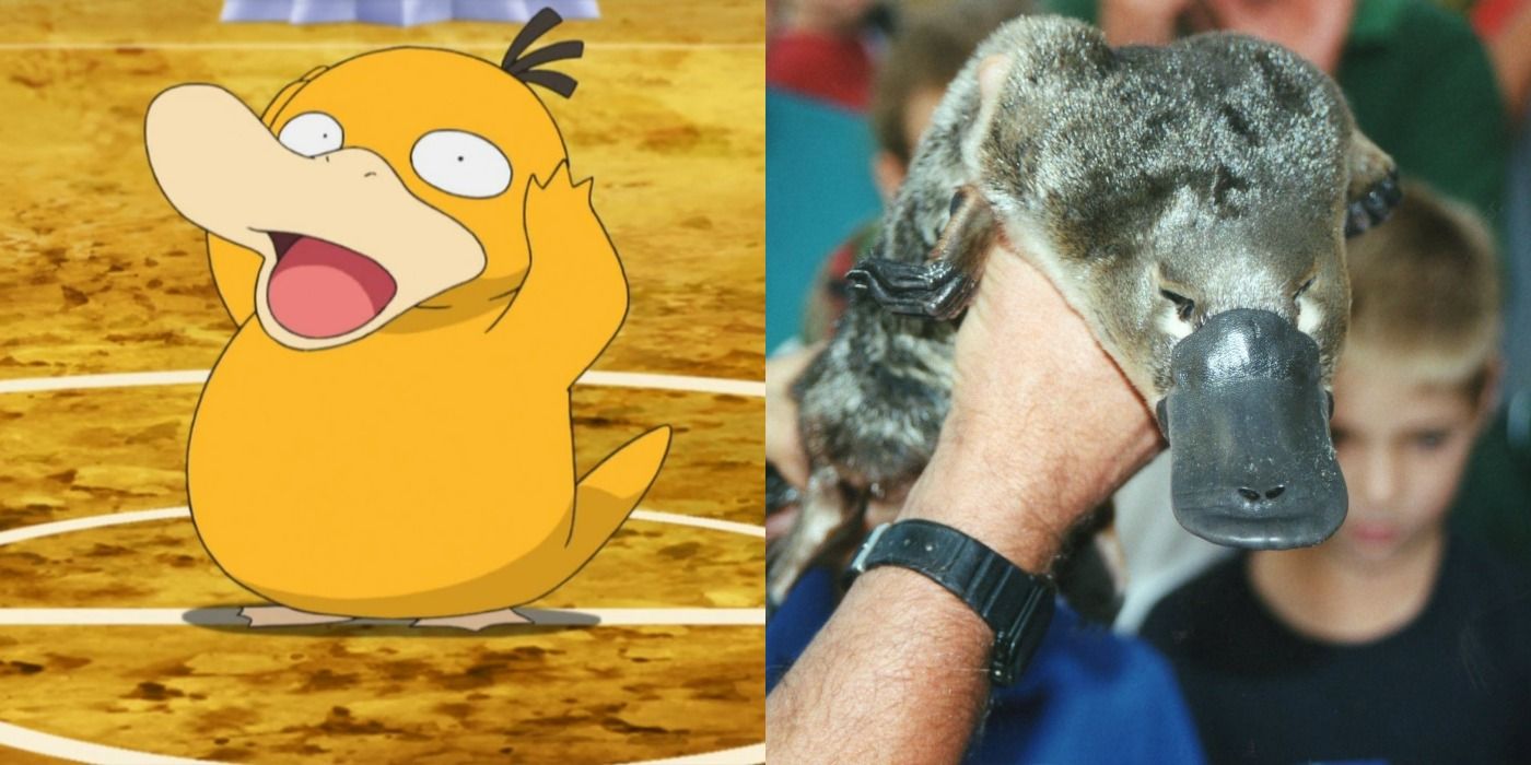 10 Pokémon And Their Real-Life Animal Counterparts