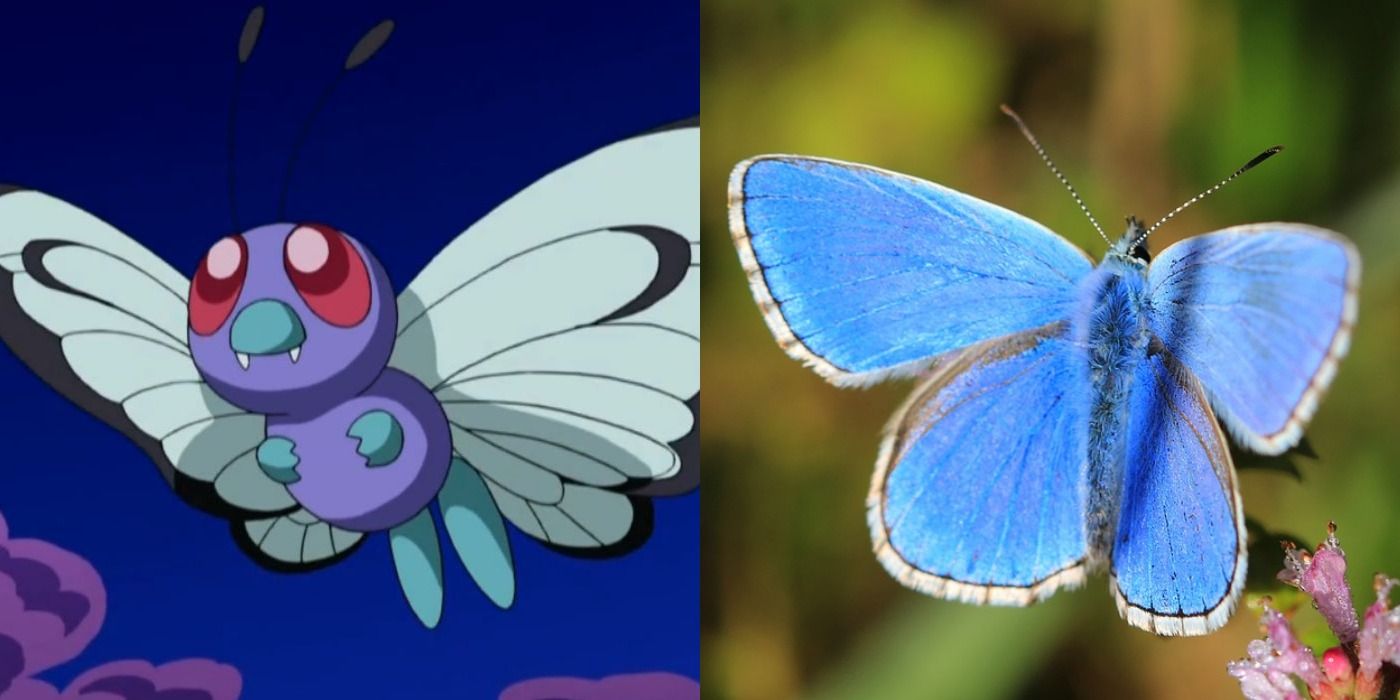 10 Pokémon And Their Real-Life Animal Counterparts