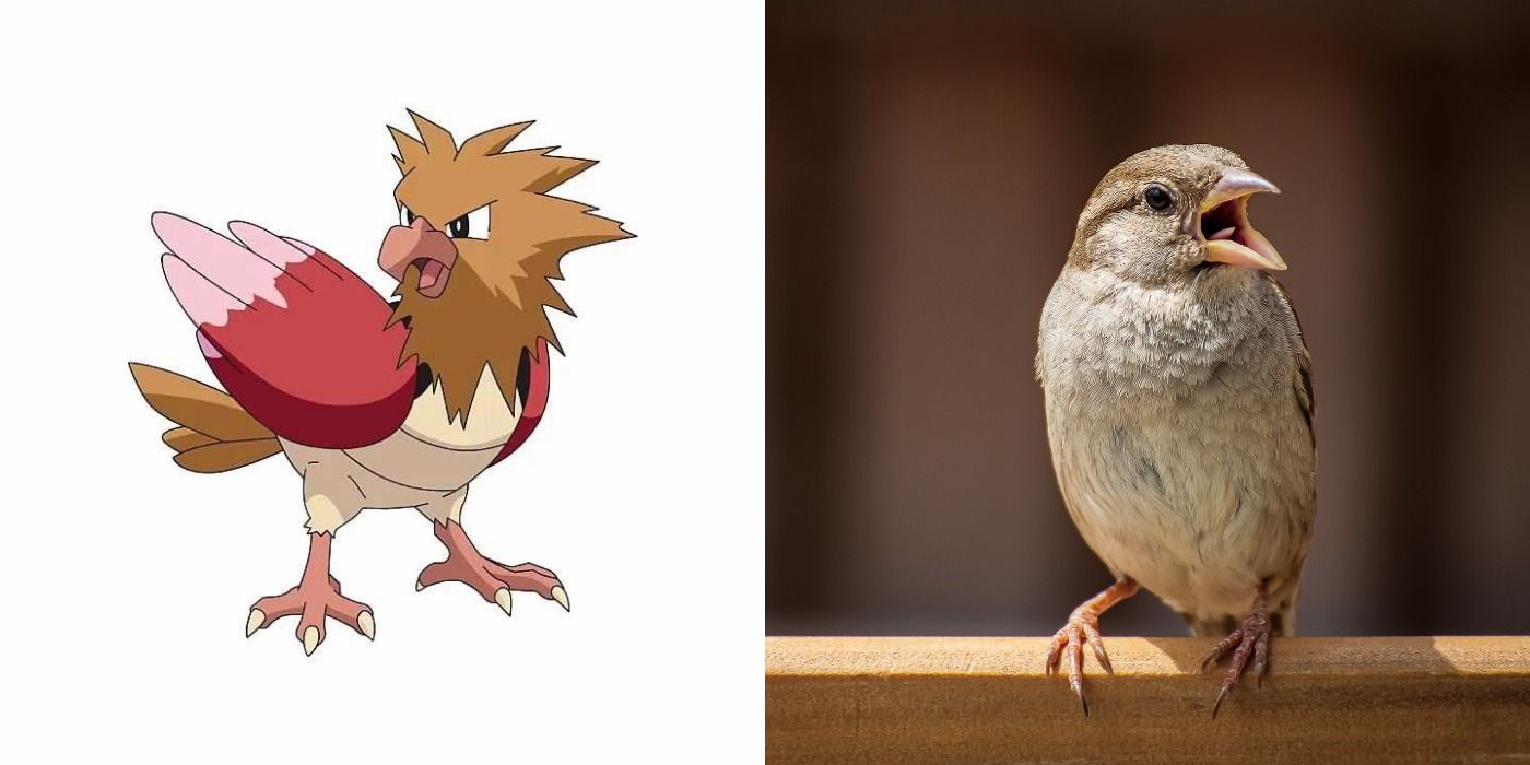 10 Pokémon And Their Real-Life Animal Counterparts