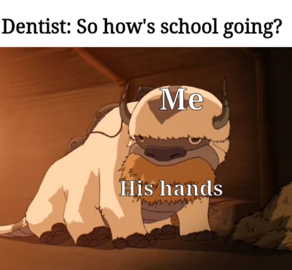 Avatar: 10 Appa Memes That Will Make You Go 'Yip Yip'