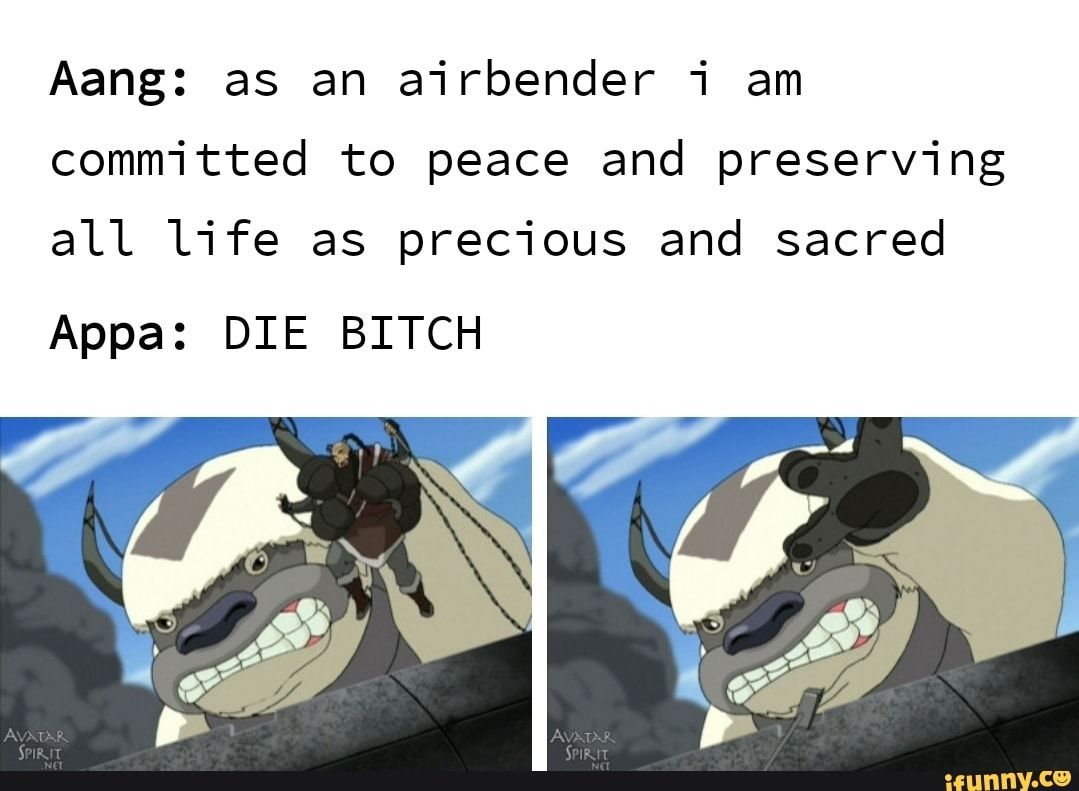 Avatar: 10 Appa Memes That Will Make You Go 'Yip Yip'