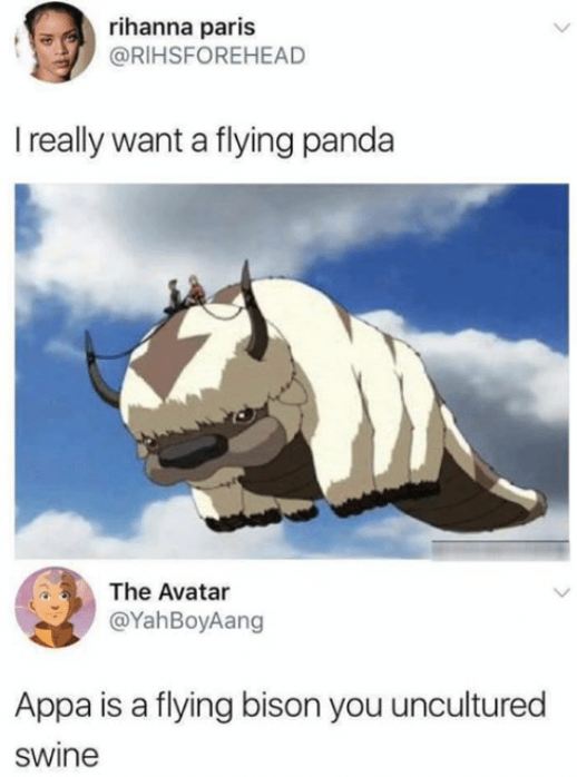 Avatar: 10 Appa Memes That Will Make You Go 'Yip Yip'