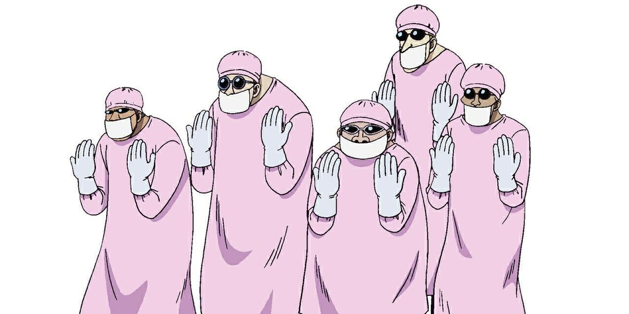 One Piece: 10 Best Doctors, Ranked