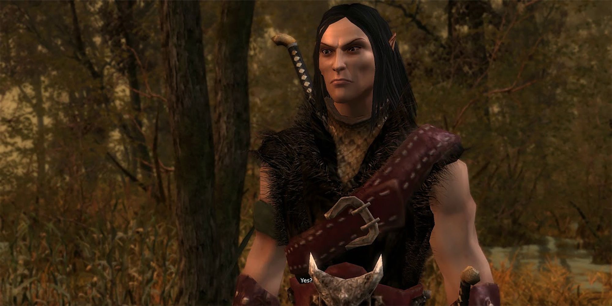 The Witcher: Who Are the Scoia'tael?