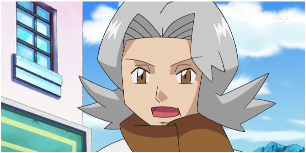 Pokémon: 10 Strongest Elite Four Members (In The Anime)