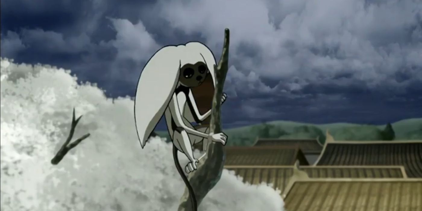 Avatar: 10 Times Momo Was Smarter Than Aang & The Gang