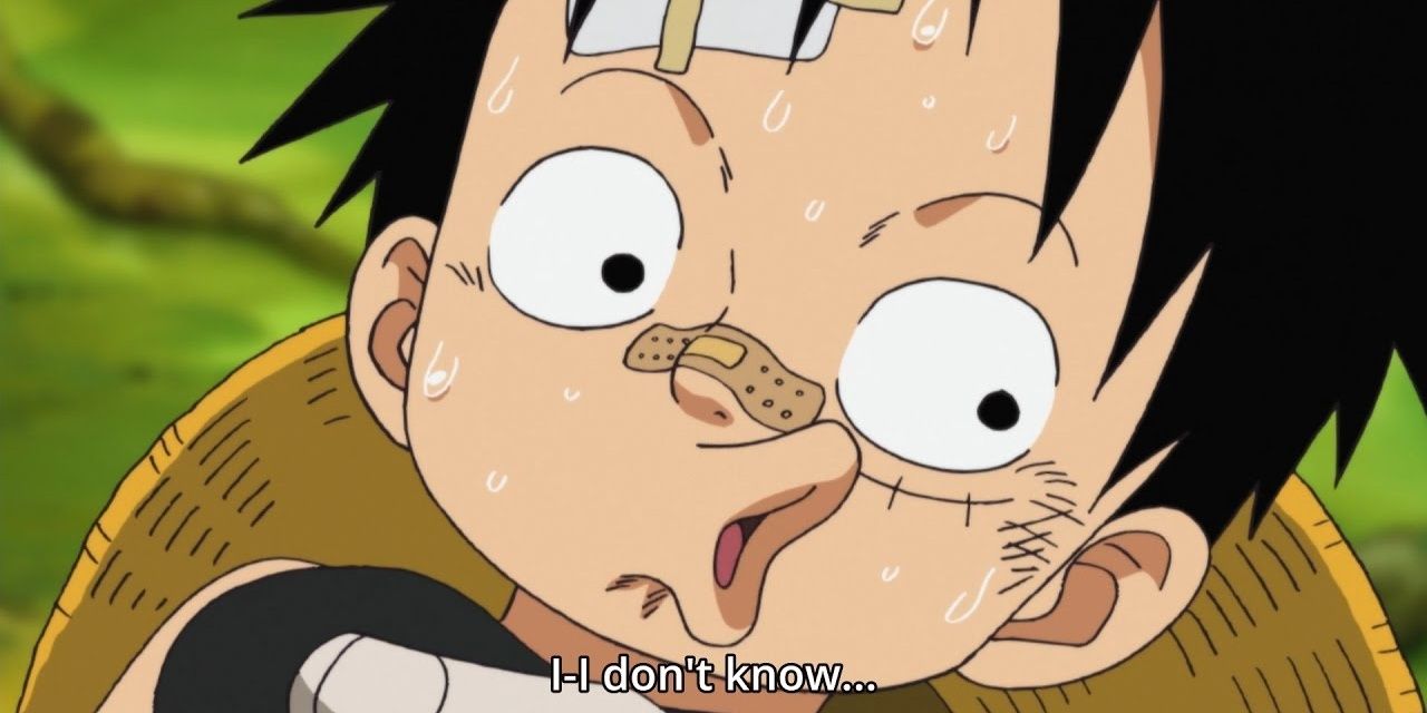 One Piece: Luffy's 10 Worst Character Traits, Ranked