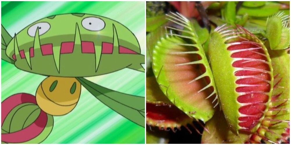 15 Grass-Type Pokémon That Are Basically Real Plants