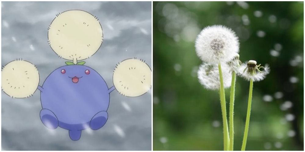 15 Grass-Type Pokémon That Are Basically Real Plants