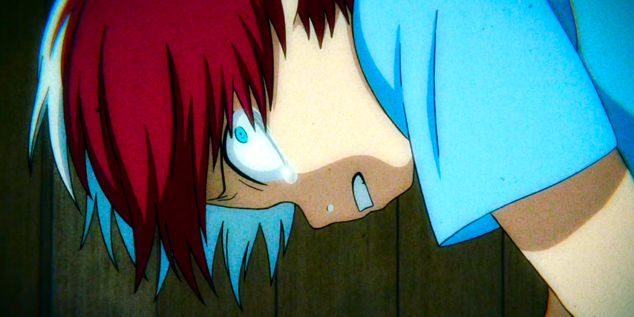 My Hero Academia: Shoto Todoroki's Birth Shows Why Quirk Marraiges Are ...