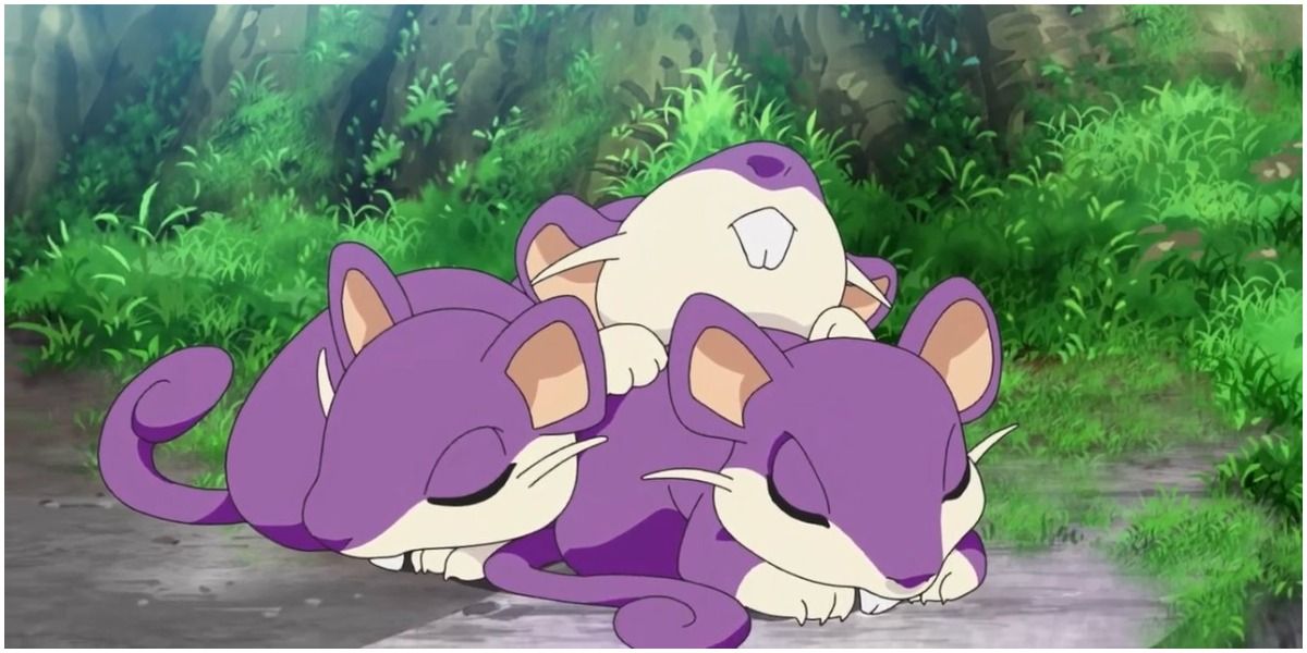 Pokémon: Every Early-Game Normal Type, Ranked