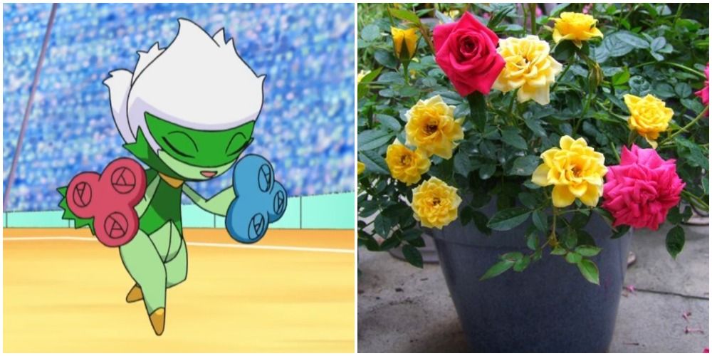 15 Grass-Type Pokémon That Are Basically Real Plants