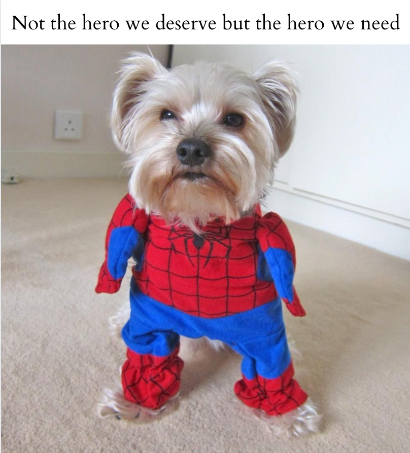 Batman: 10 Hilarious “The Hero We Deserve” Memes