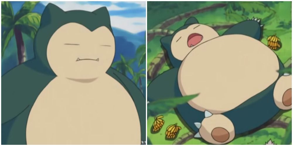 Every Bear Pokémon, Ranked From Cutest To Scariest