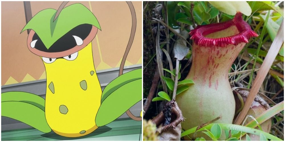 15 Grass-Type Pokémon That Are Basically Real Plants