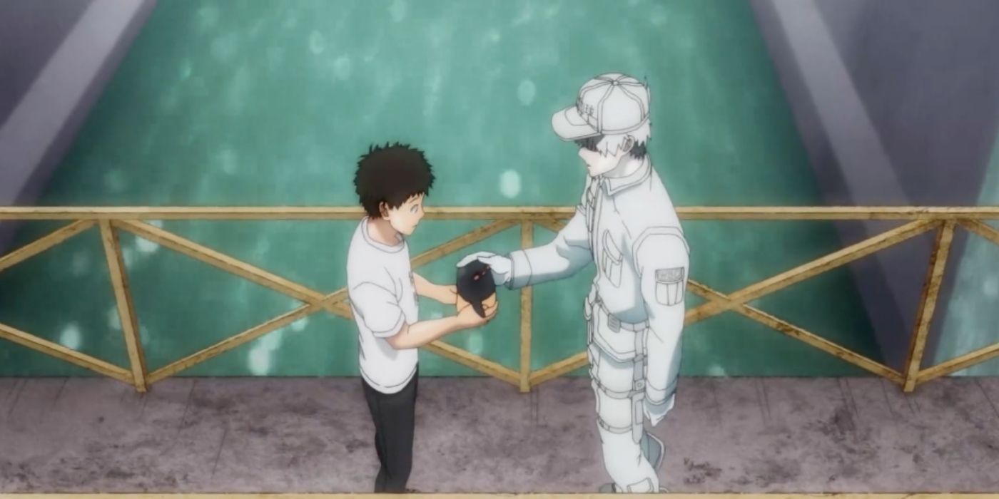 Cells at Work!: Cancer Is Back - and Stronger Than Ever