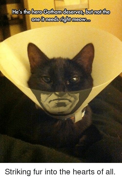 Batman: 10 Hilarious “The Hero We Deserve” Memes