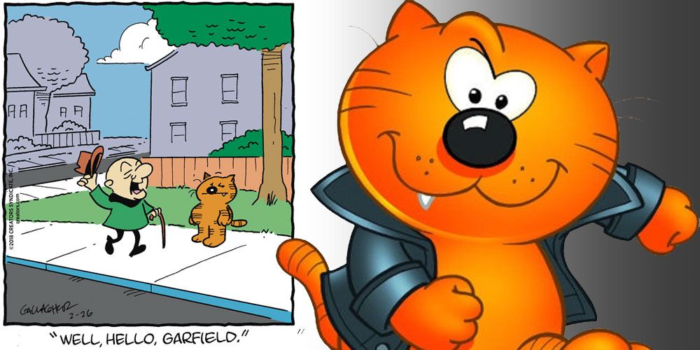 10 Heathcliff Comic Strips That Make Zero Sense